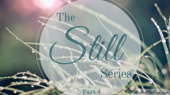 Still Series #4